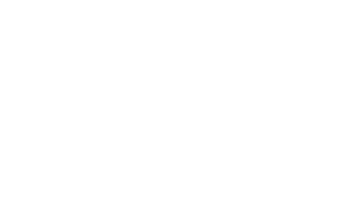 Optimum Logistics Solutions